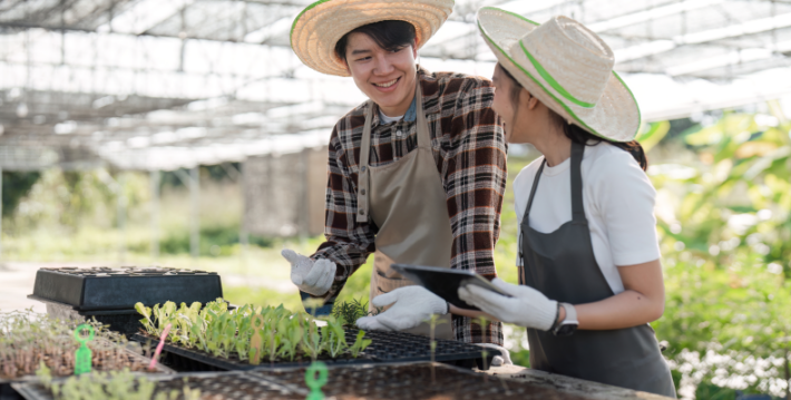 Home Web App - FarmERP