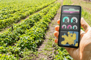 Home Web App - FarmERP