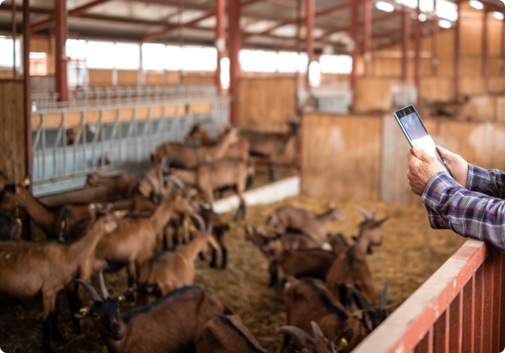 Two Decades of Agri-Tech Innovation with FarmERP