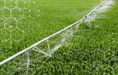 AI Irrigation System: Smart Water Management