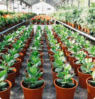 Nursery10X: Simplify Nursery Operations with Smart Solutions